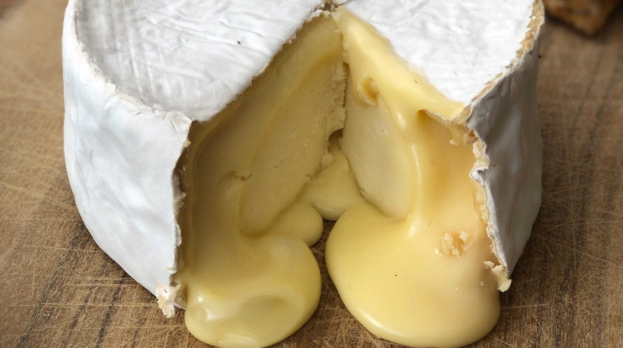 Introduction to Making Cheese | Hen Corner