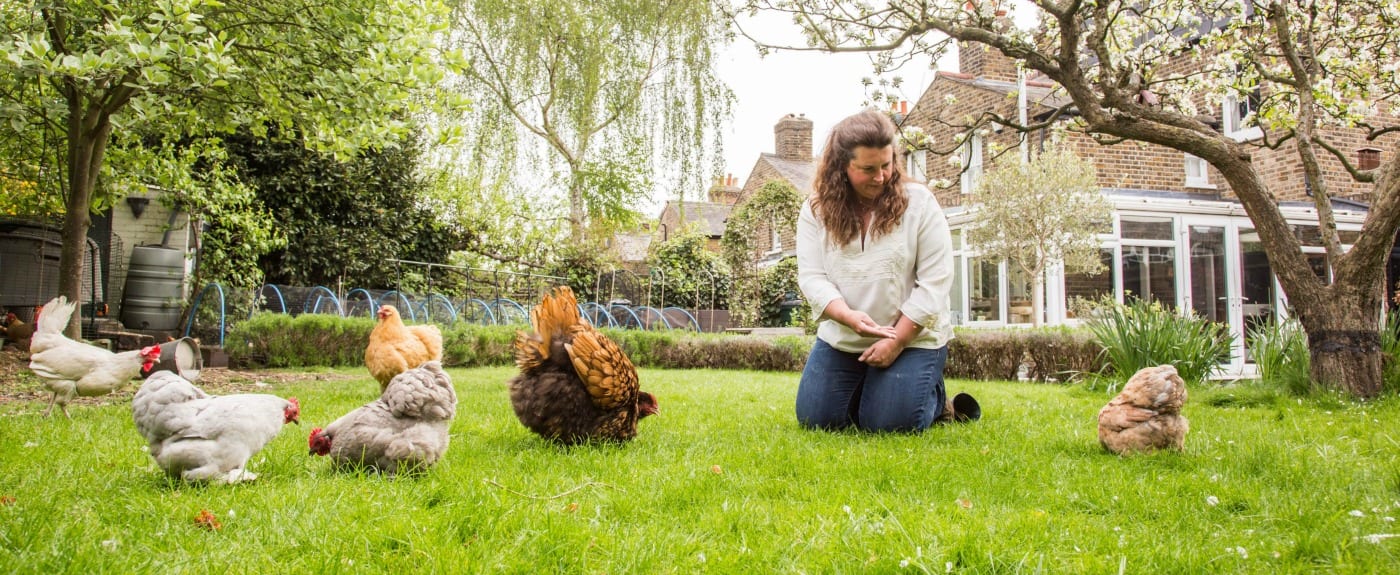 Hen Corner | Living the Country Life in the City on our Urban Smallholding