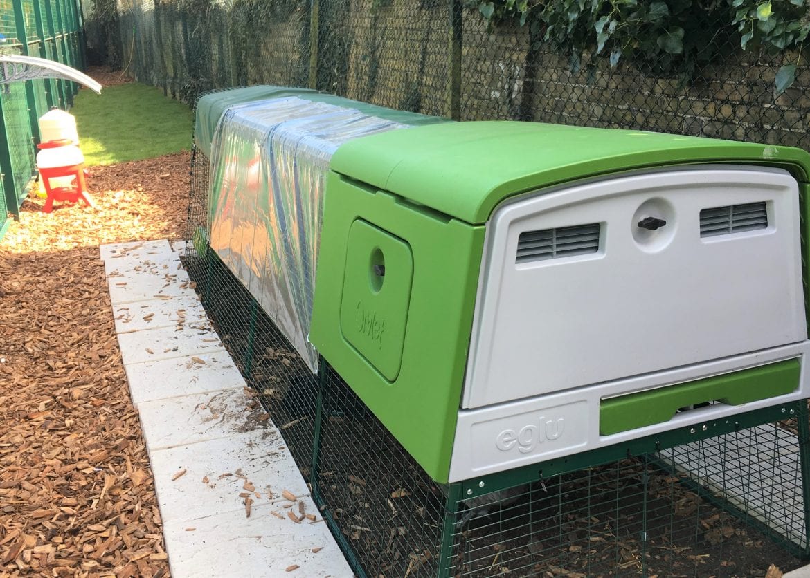 Eglu Feature Image | Hen Corner