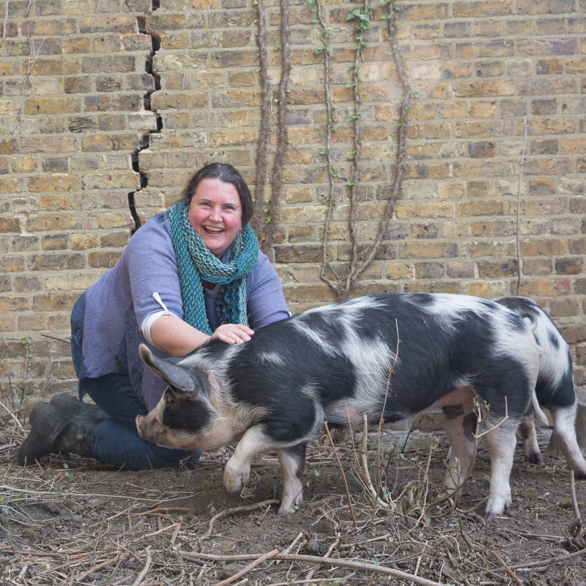 Doing it Together | Hen Corner